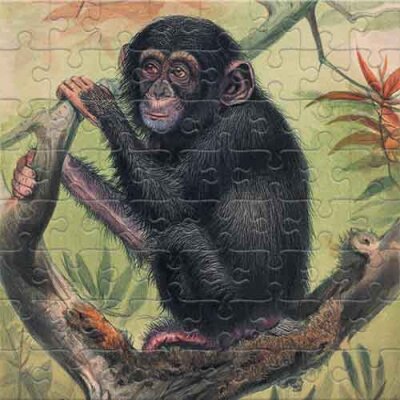 Chimpanzee on a Branch - Online Jigsaw Puzzle | Jigsaw Puzzles Online
