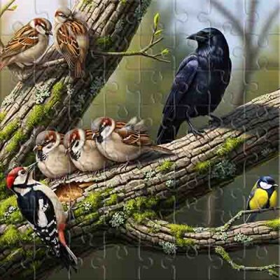 The Picturesque World of Birds - Online Jigsaw Puzzle | Jigsaw Puzzles ...