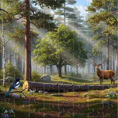 Primavera en el bosque de pinos - Rompecabezas en línea | Jigsaw ...